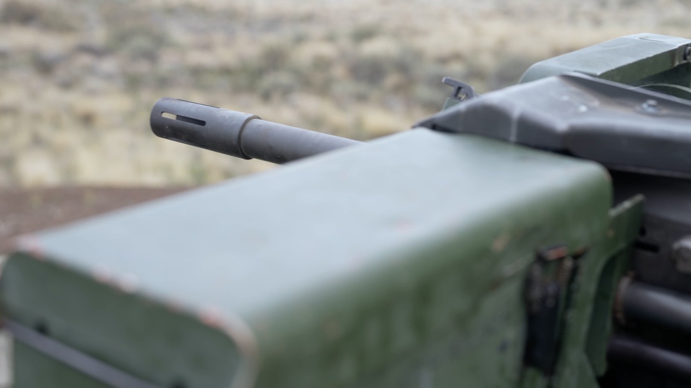 DVIDS - Video - 1-2 Stryker Brigade Combat Team Conducts 30 mm, .50 Cal ...