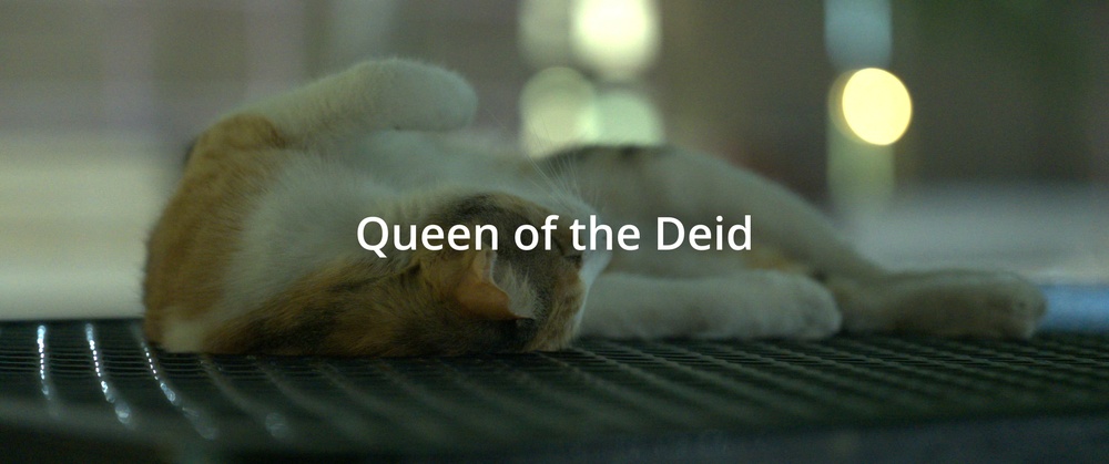 DVIDS - Video - The Queen of the Deid