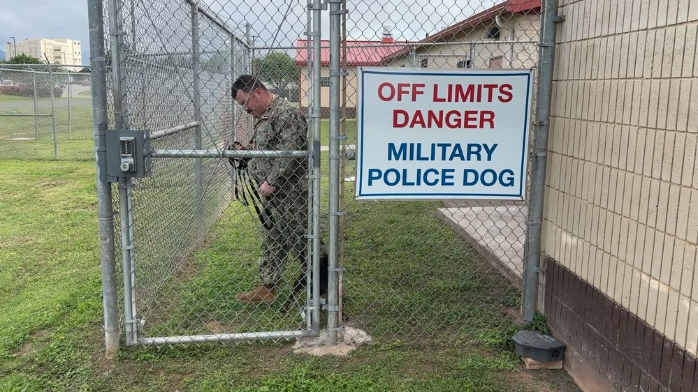 DVIDS - Video - Drug Detection Dog and Handler Maintain Security from ...