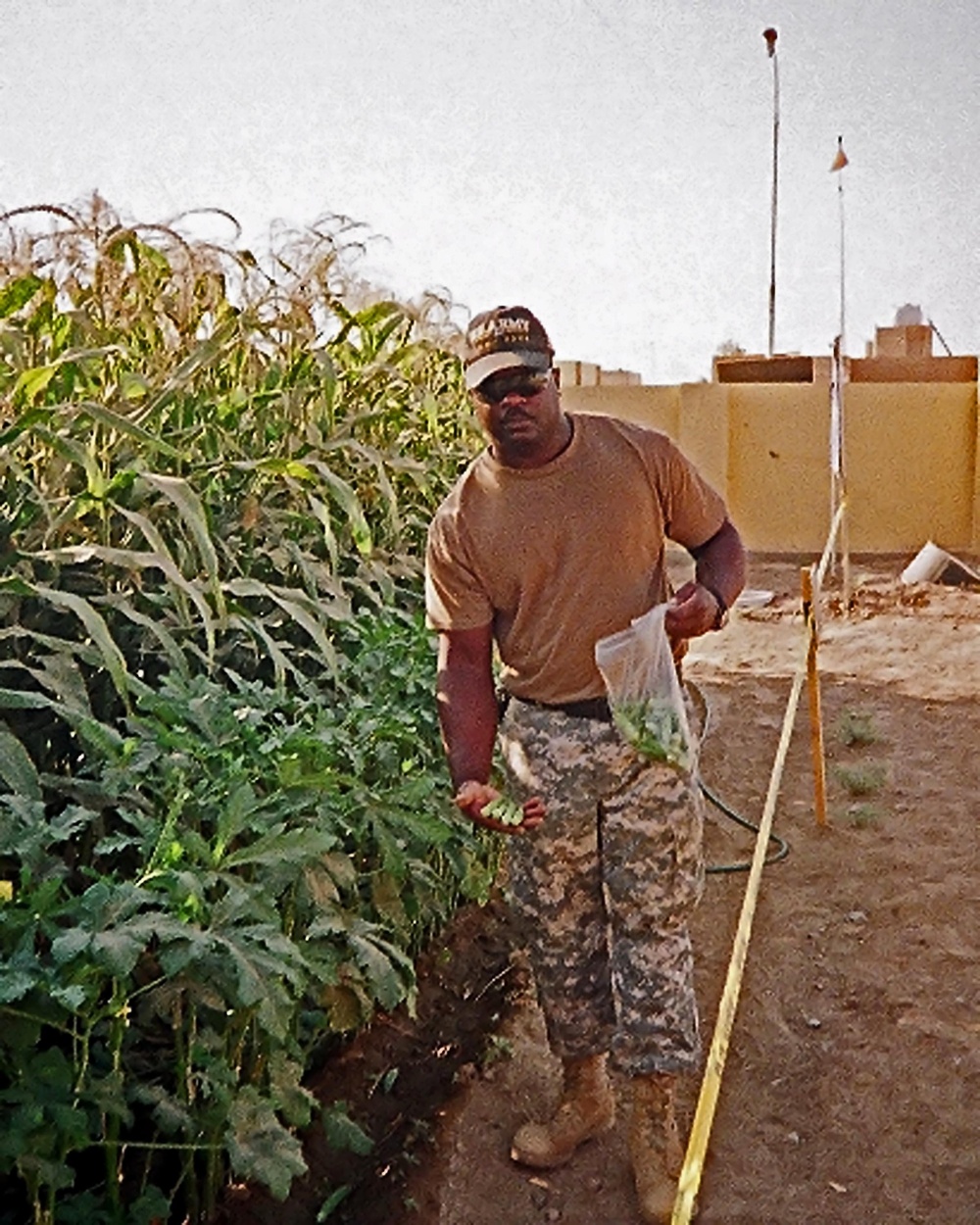 DVIDS - News - Soldier Uses Personal Time to Grow Garden In Iraq