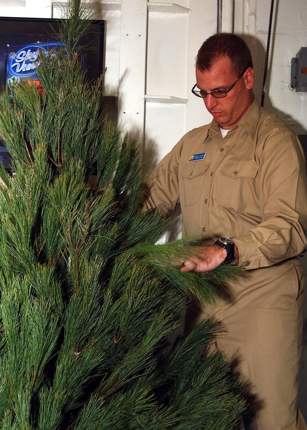 DVIDS - News - Trees Bring Holiday Spirit to USS Dubuque