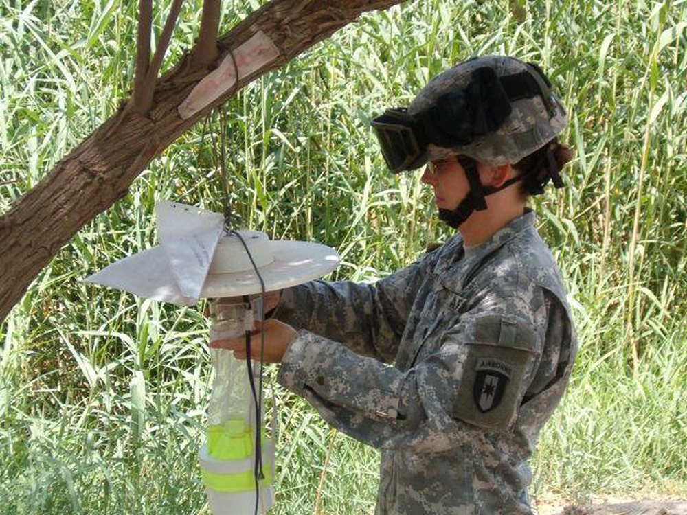 DVIDS - News - Your health - Sand flies, mosquitoes monitored daily on ...