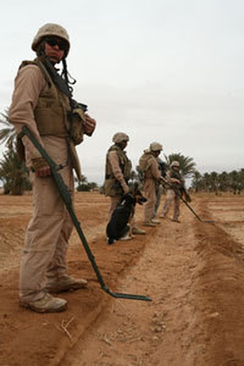 DVIDS - Images - MWSS-372 Keeps Hawran Cache-free One Field at a Time ...