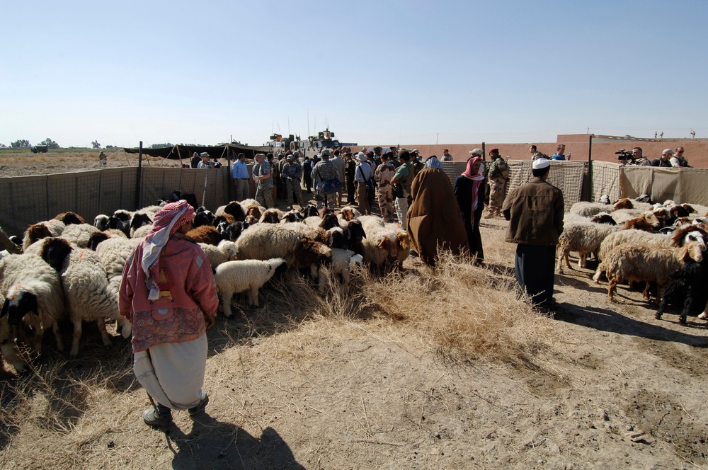 DVIDS - Images - Muthanna MEDCAP/VETCAP [Image 5 of 10]