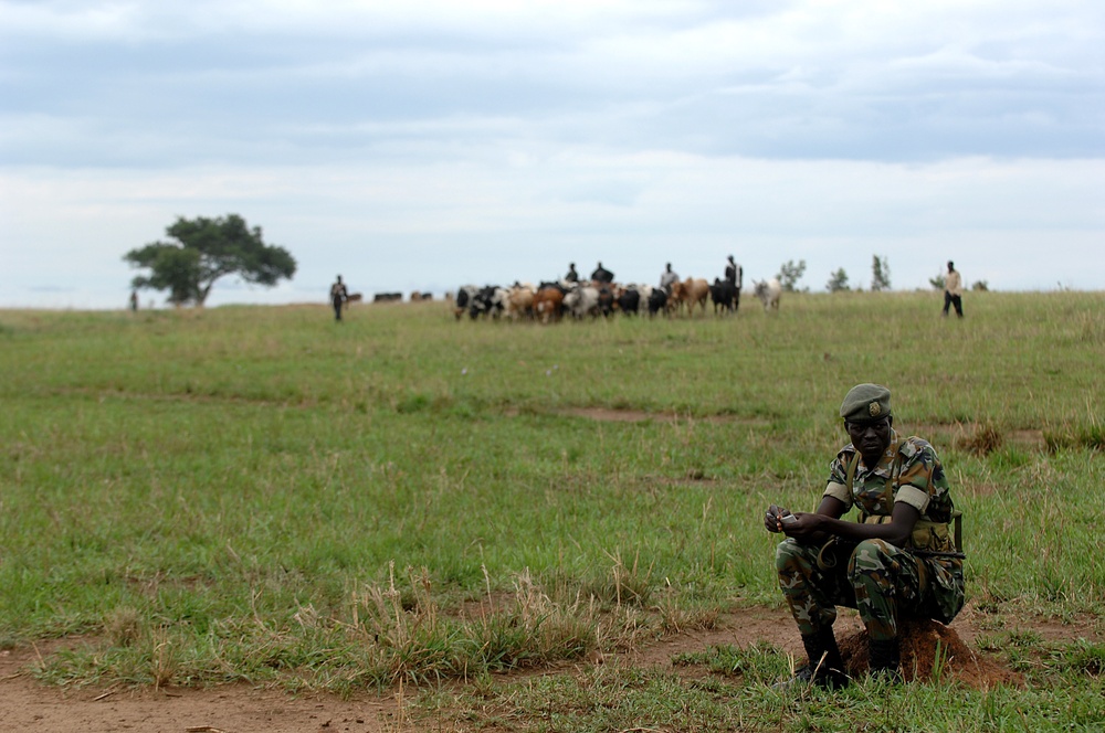 DVIDS - Images - Civil Affairs helps animals in the Horn of Africa ...