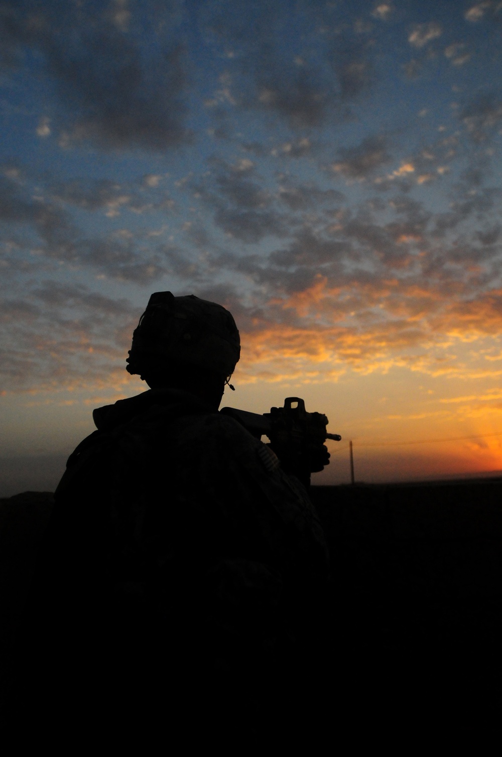 DVIDS - Images - A Soldier's History of the Air Assault: Screaming ...