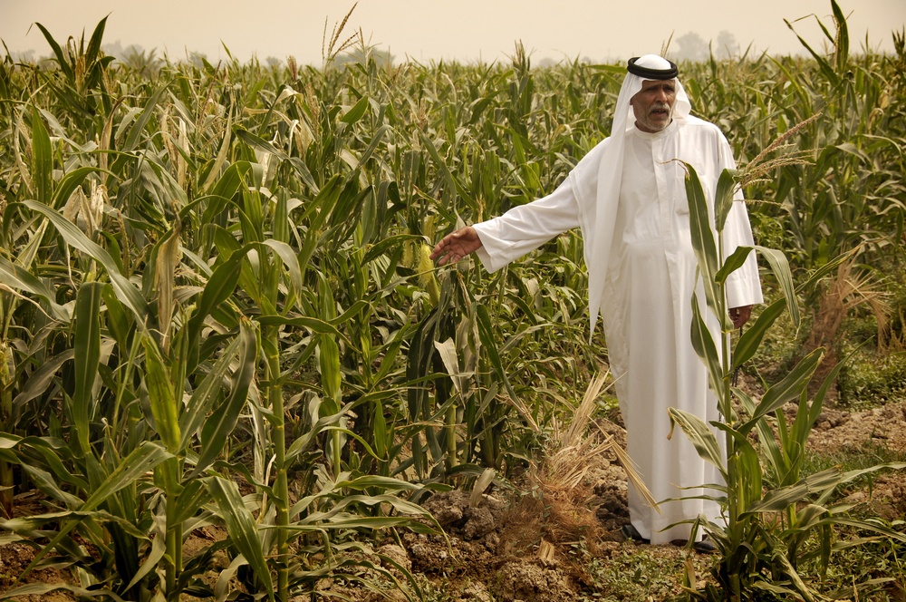 DVIDS - Images - Provincial Reconstruction Team Assess Corn Crop [Image ...