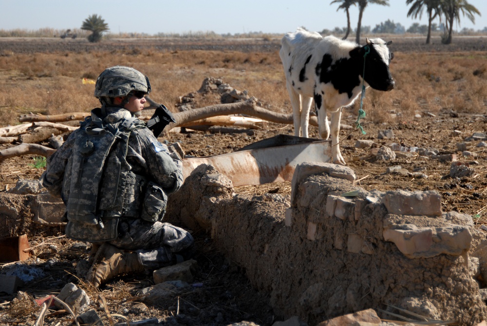 DVIDS - Images - Roadside clearance near Forward Operating Base Kalsu ...