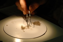 Preventive Medicine Soldiers Keep Troops Safe