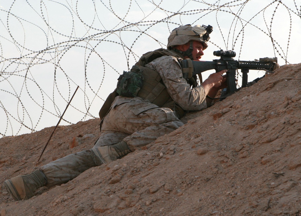 DVIDS - News - Warlords of 2/2 wrap up Mohave Viper training