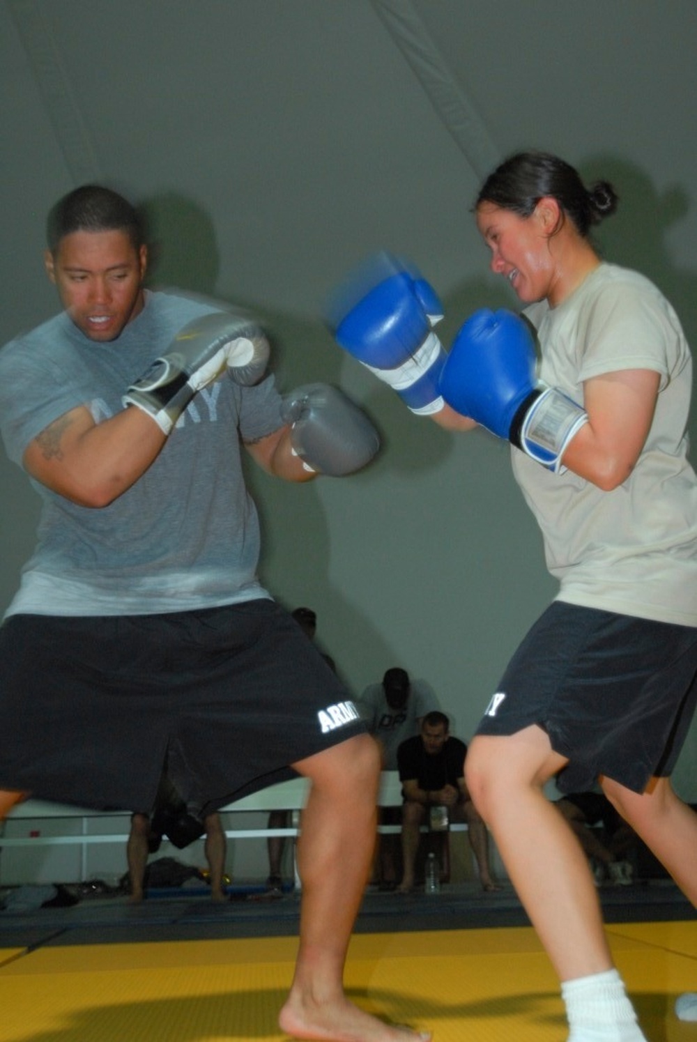 DVIDS - News - Soldiers strike at Adder fights