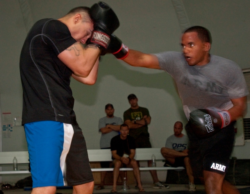 DVIDS - News - Soldiers strike at Adder fights