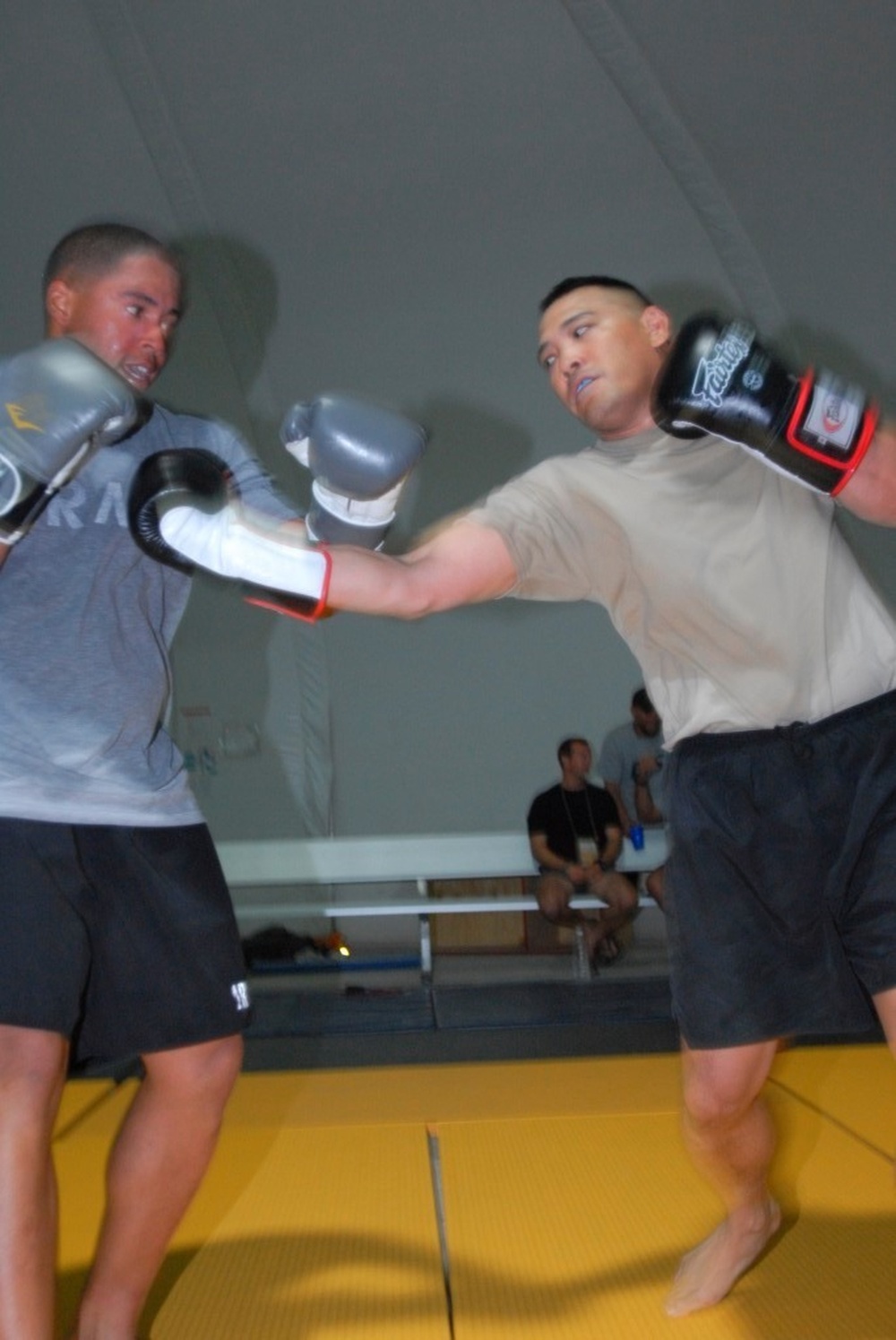 DVIDS - News - Soldiers strike at Adder fights