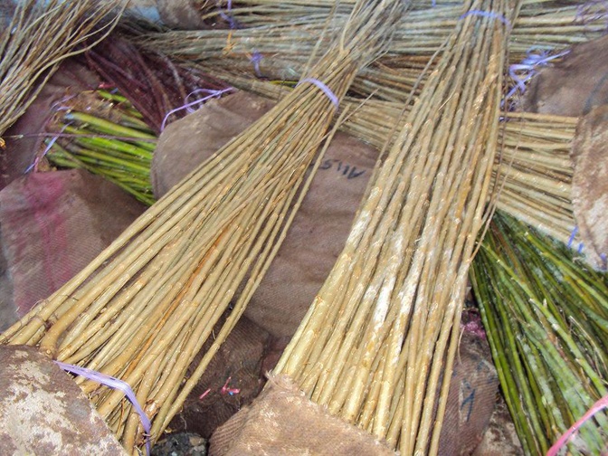 DVIDS - Images - Paktika activity