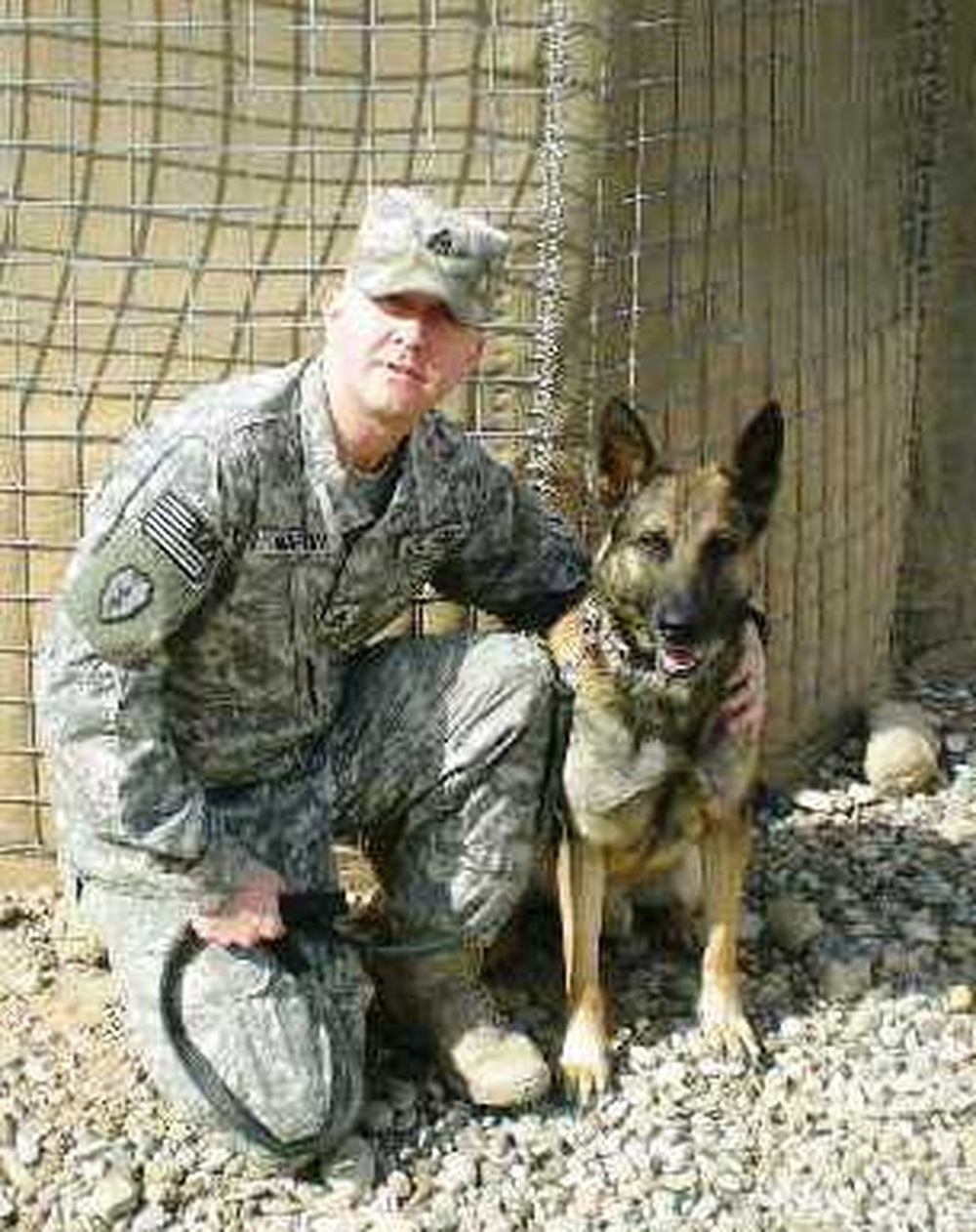 DVIDS - News - Fort Leonard Wood Engineer K9 Teams Come Home