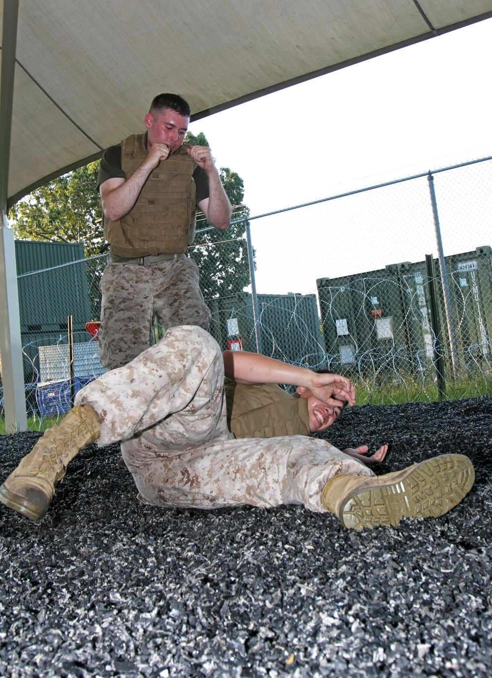 What Is A Grey Belt In The Marines at Corrina Davis blog