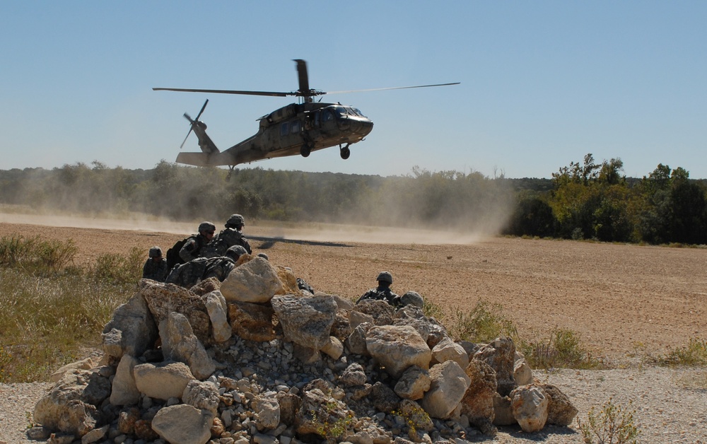 DVIDS - News - Exercise pulls Air Cav unit together