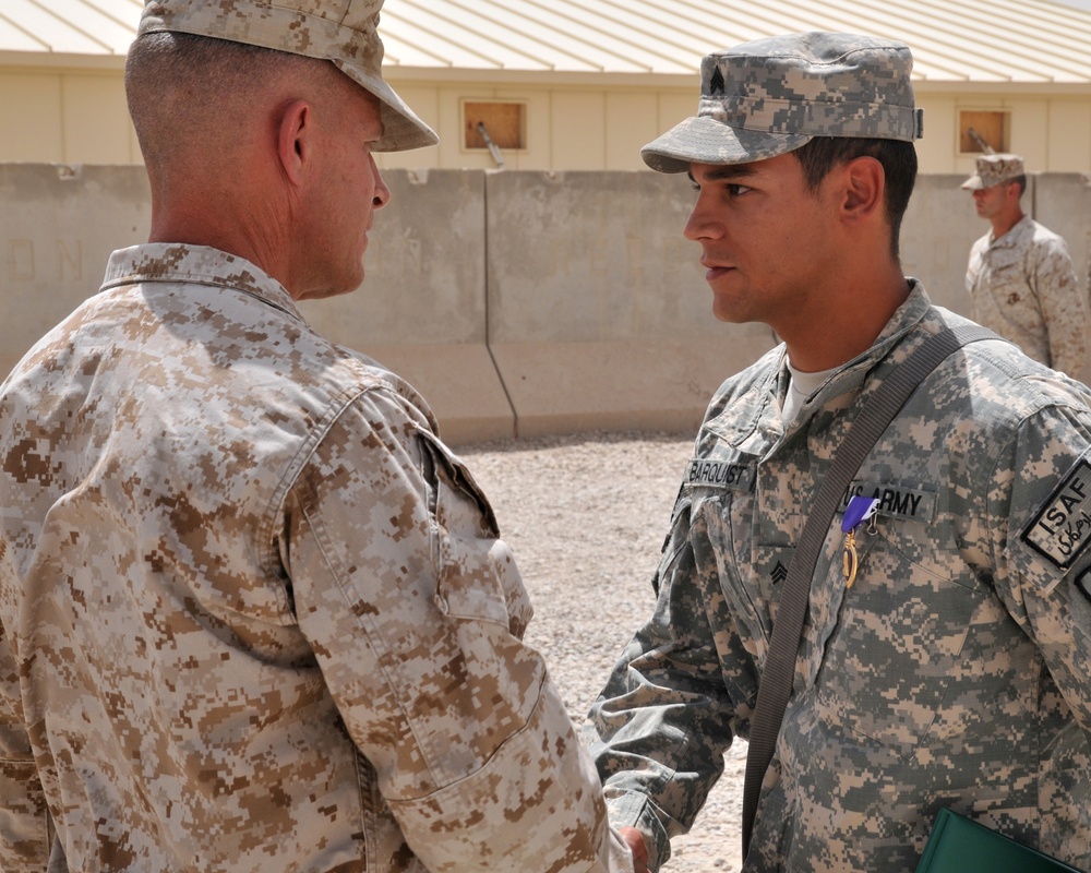 DVIDS - Images - Twelve Task Force Overlord soldiers awarded the Purple ...