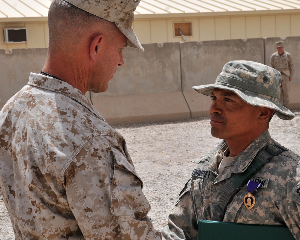 DVIDS - Images - Twelve Task Force Overlord soldiers awarded the Purple ...