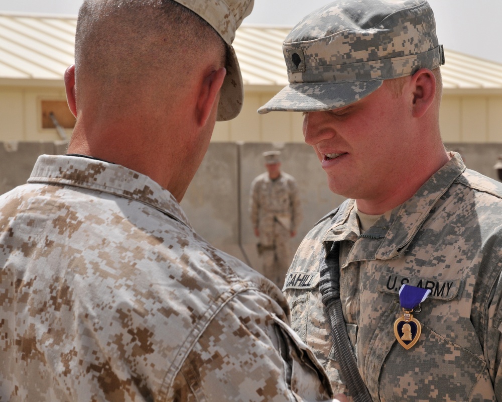 DVIDS - Images - Twelve Task Force Overlord soldiers awarded the Purple ...