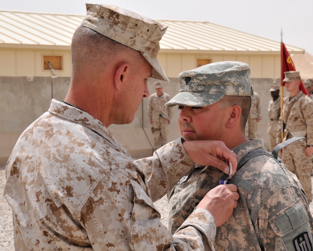 DVIDS - Images - Twelve Task Force Overlord soldiers awarded the Purple ...