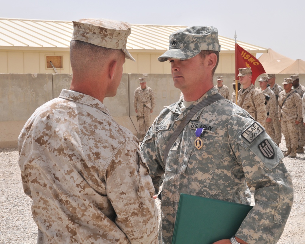 DVIDS - Images - Twelve Task Force Overlord soldiers awarded the Purple ...