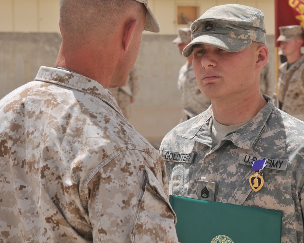 DVIDS - Images - Twelve Task Force Overlord soldiers awarded the Purple ...