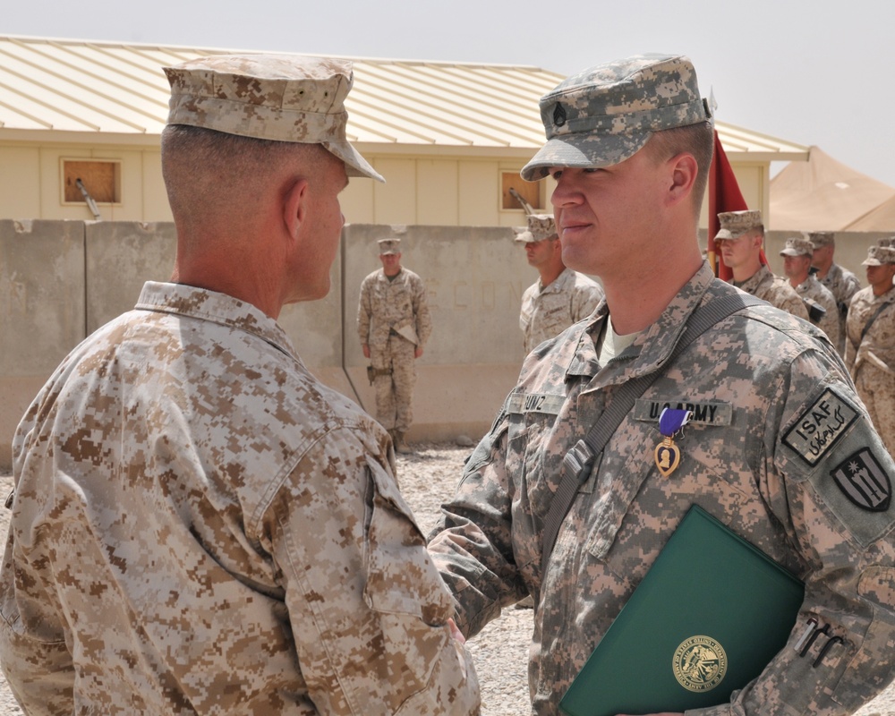 DVIDS - Images - Twelve Task Force Overlord soldiers awarded the Purple ...