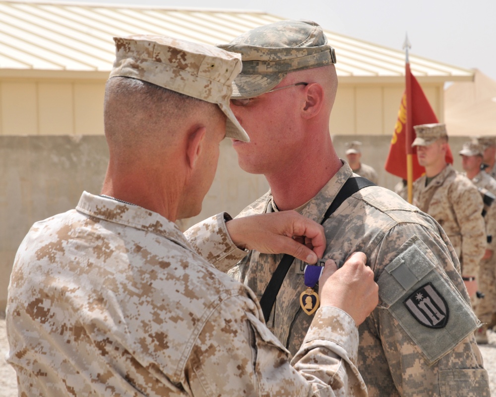 DVIDS - Images - Twelve Task Force Overlord soldiers awarded the Purple ...