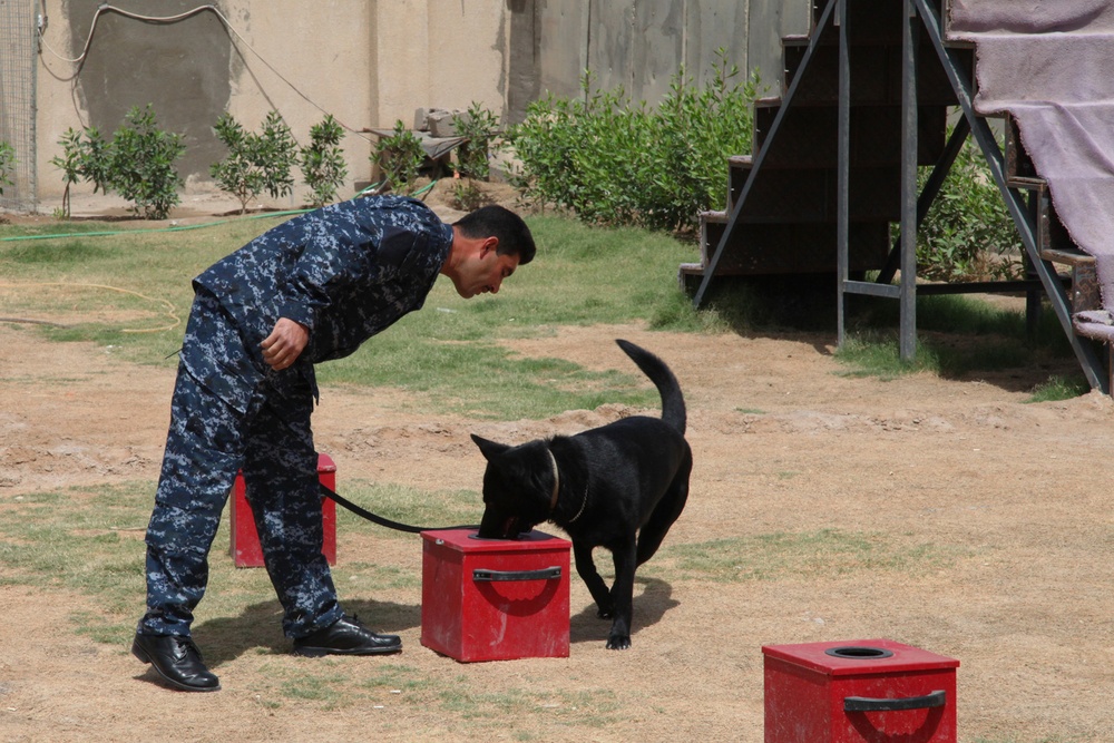 DVIDS - News - Canine police team trained for drug, explosive interdiction