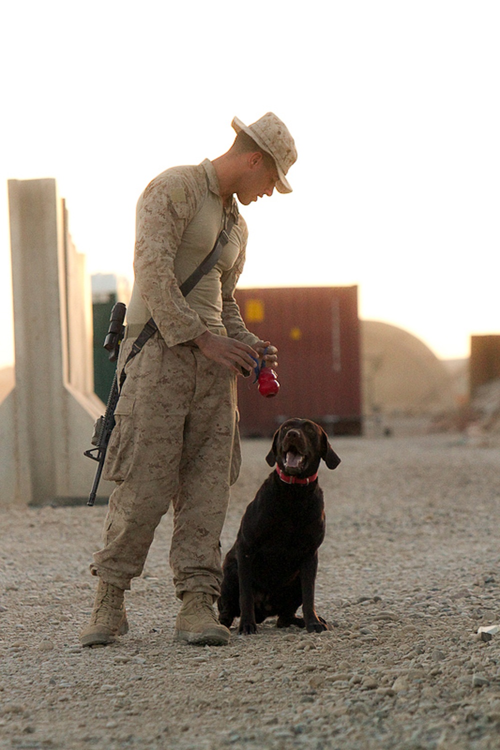 DVIDS - News - Detection team sharpens skills, protects Marines from ...