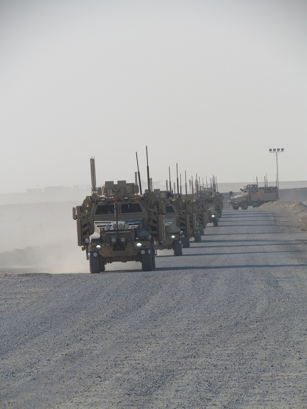 DVIDS - News - Lights out, scouts out