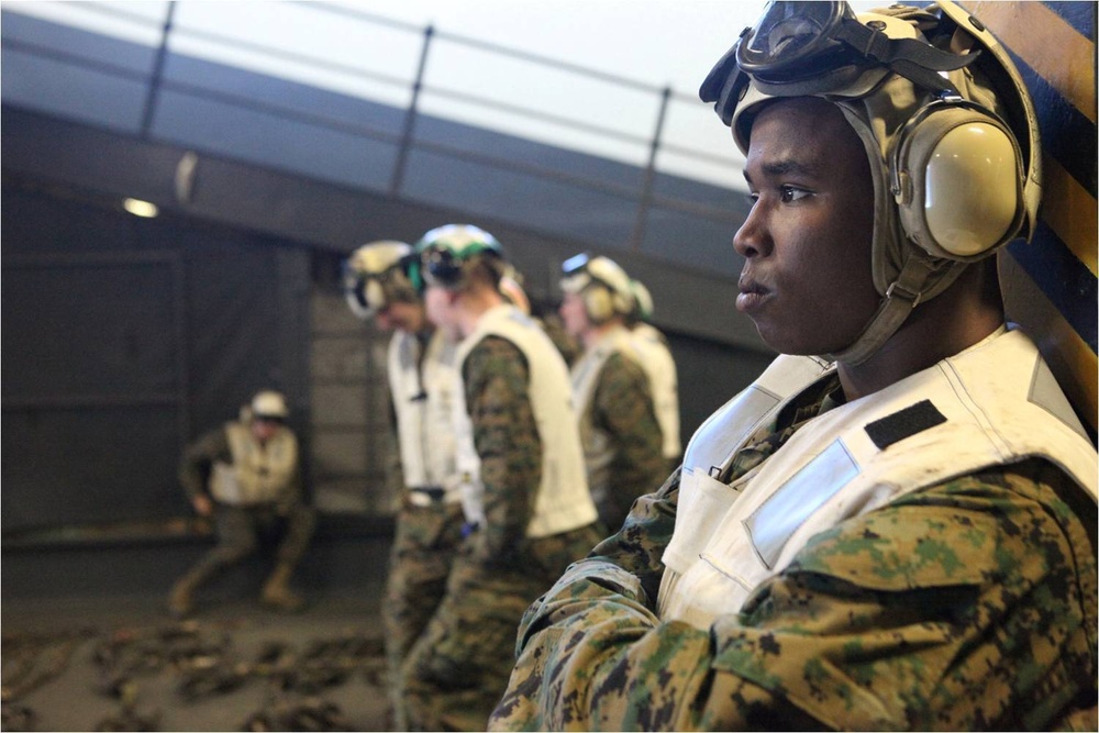 DVIDS - Images - Combat cargo steps up for Exercise Bold Alligator ...