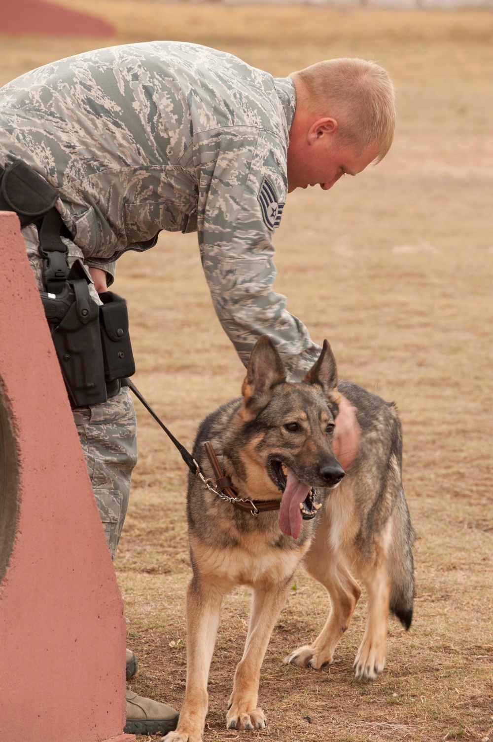 DVIDS - Images - 49th Security Forces Squadron K-9 training [Image 3 of 9]