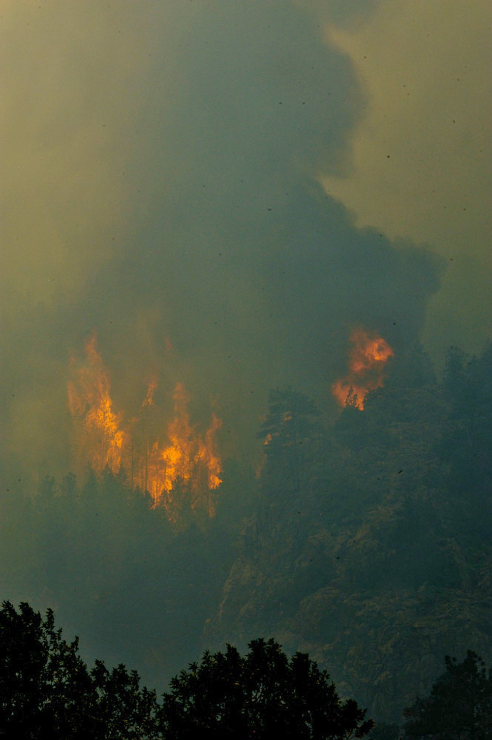 DVIDS - Images - Colorado High Park fire [Image 16 of 35]