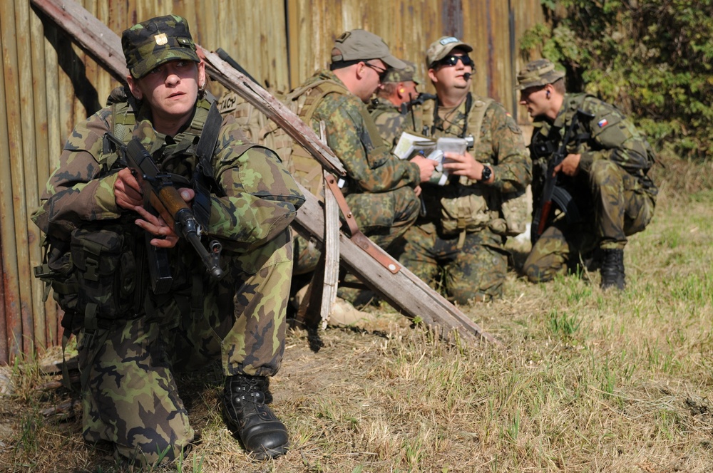 DVIDS - Images - NATO member nations enhance CAS, FAC through training ...
