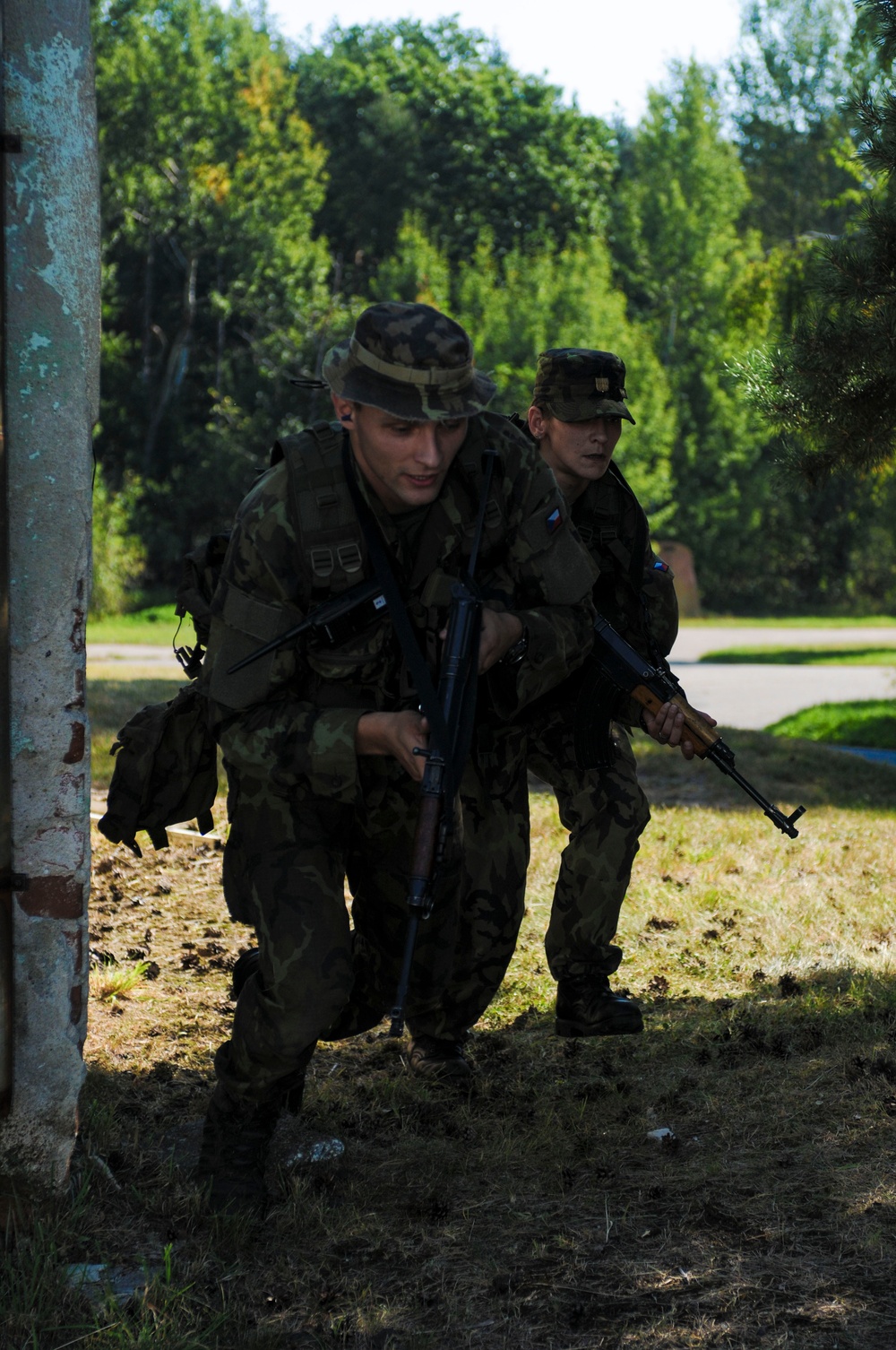 DVIDS - Images - NATO member nations enhance CAS, FAC through training ...