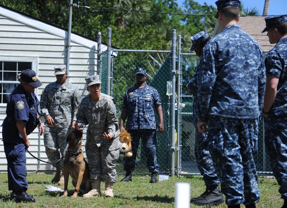DVIDS - Images - MWD medical training [Image 12 of 12]