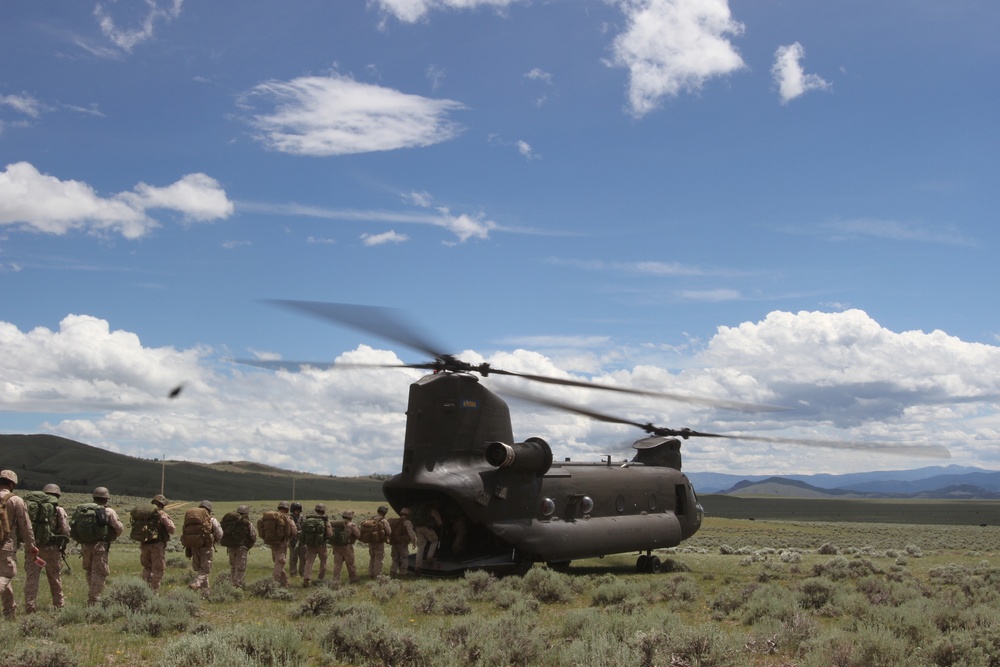 DVIDS - Images - Recon Marines conduct three-day reconnaissance and ...