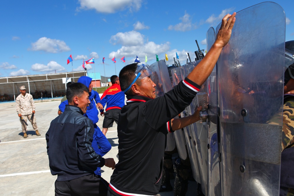 DVIDS - Images - Non-lethal platoon tactics – NOLES 2013 [Image 9 of 12]