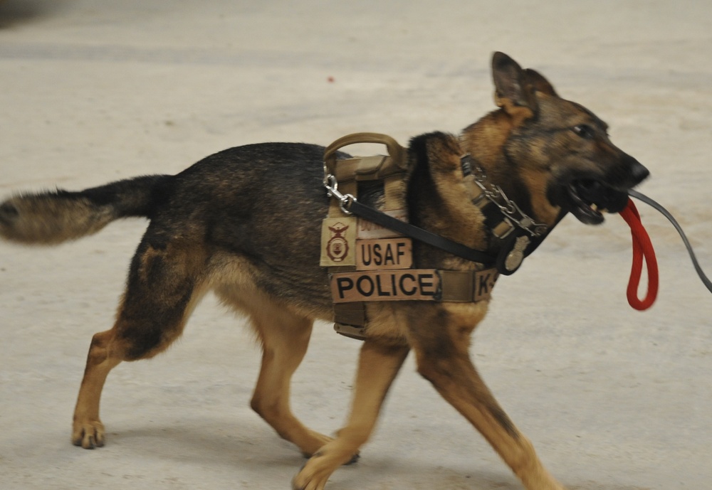 DVIDS - News - K-9: Bond between handler, dog strengthens base defense