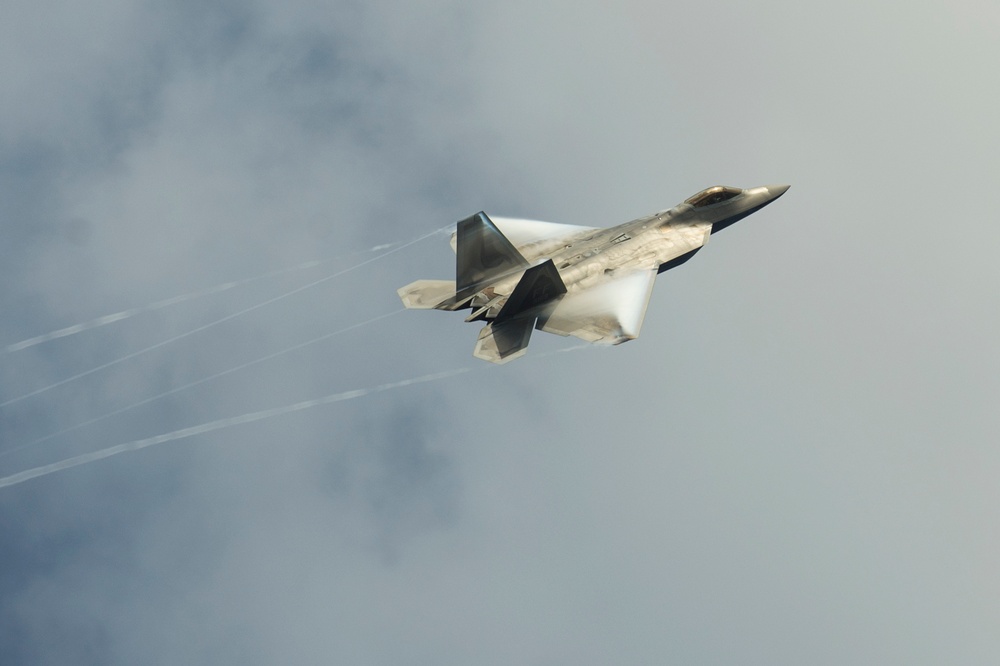 DVIDS - Images - F-22A Raptor [Image 1 of 2]