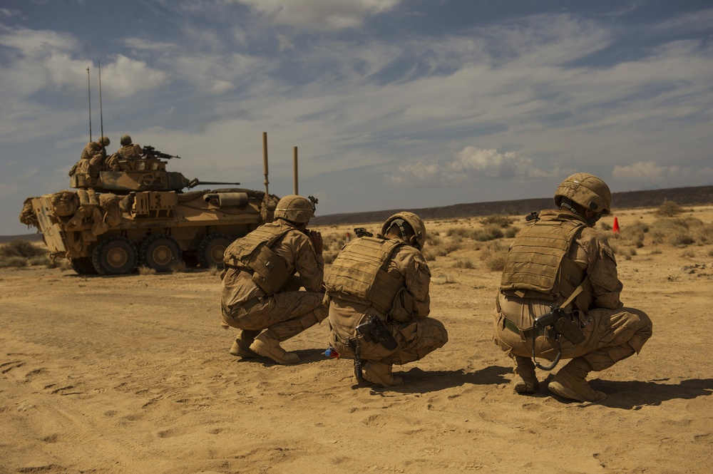 DVIDS - Images - U.S. Marines conduct long-range weapons training ...