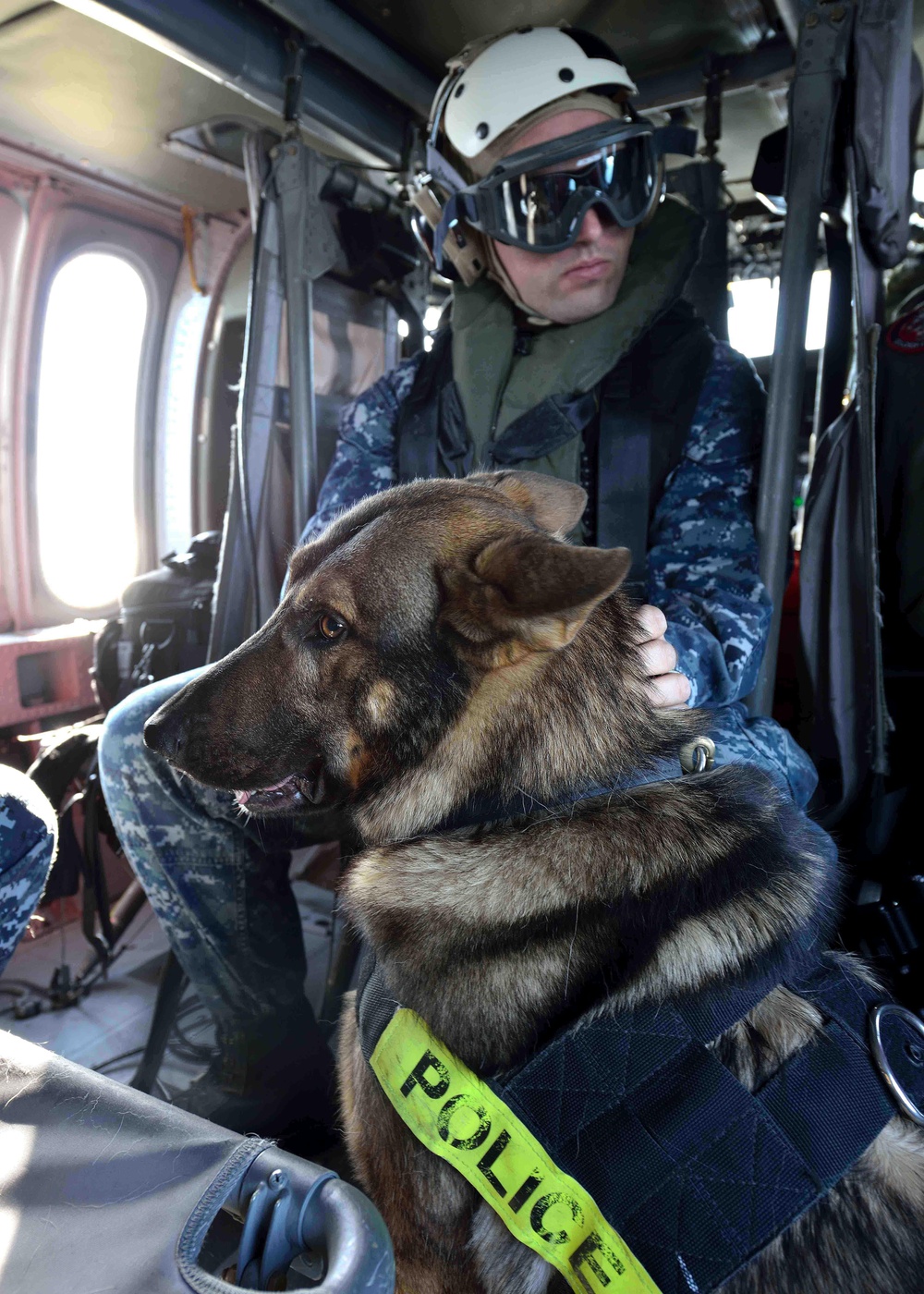 DVIDS - Images - Aerial training exercise for K-9 units [Image 3 of 4]