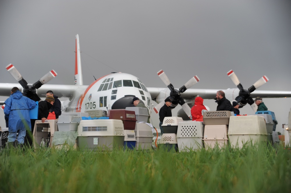 DVIDS - Images - Bird rescue