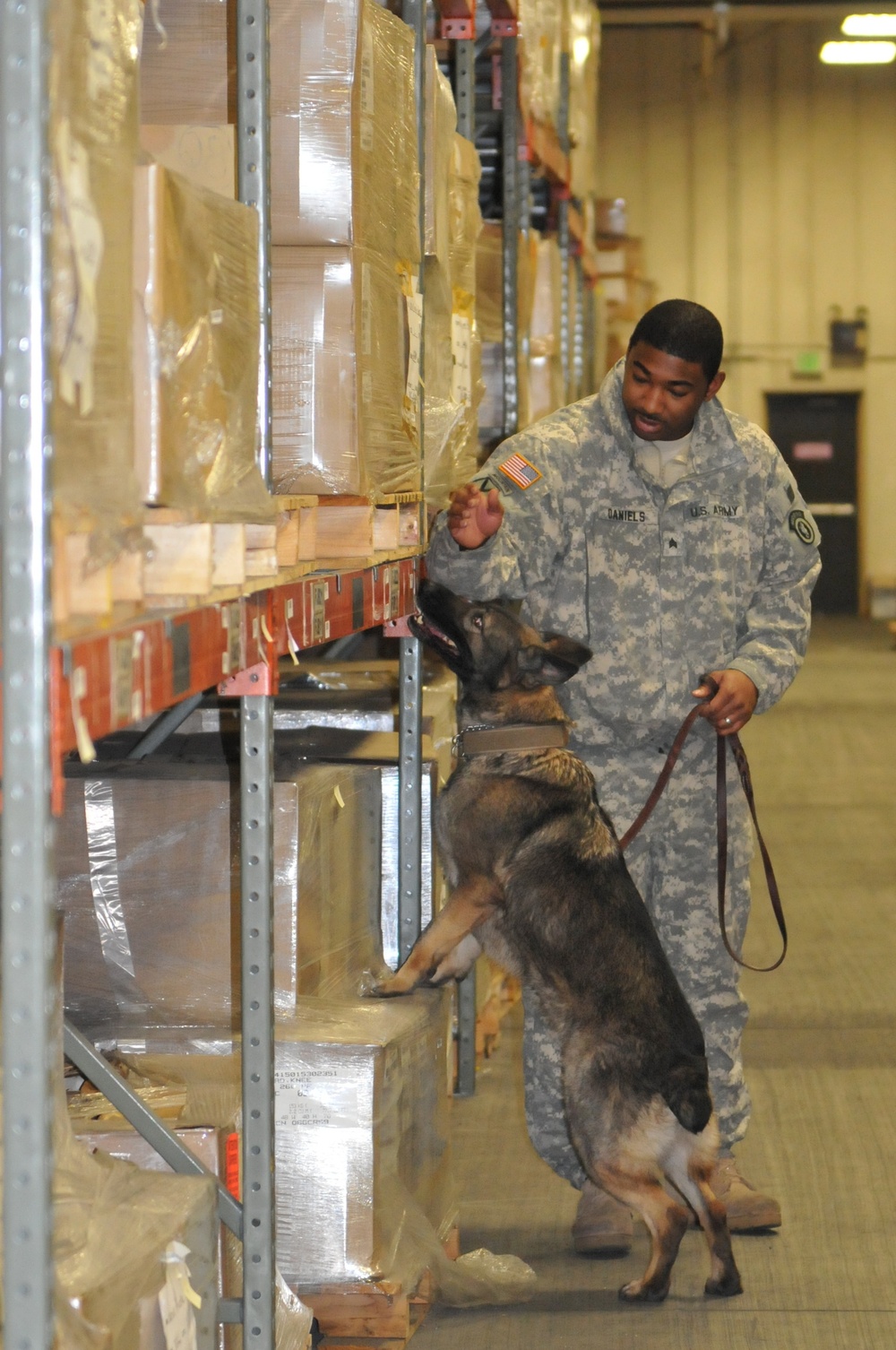 DVIDS - News - Military Working Dog teams prepare for certification for ...