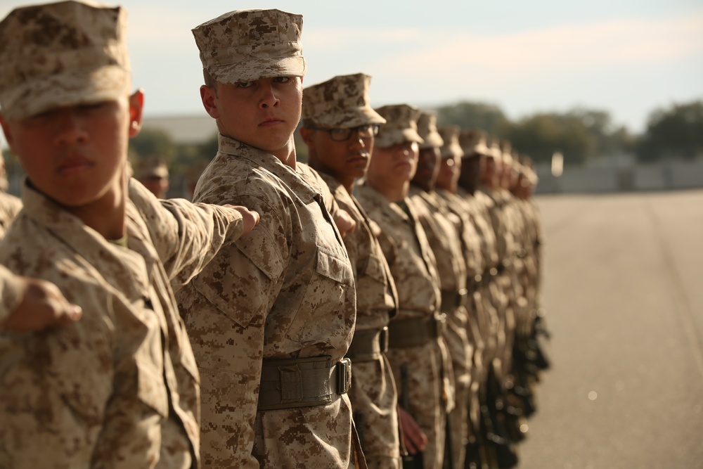 DVIDS - Images - Photo Gallery: Marine recruits display discipline ...