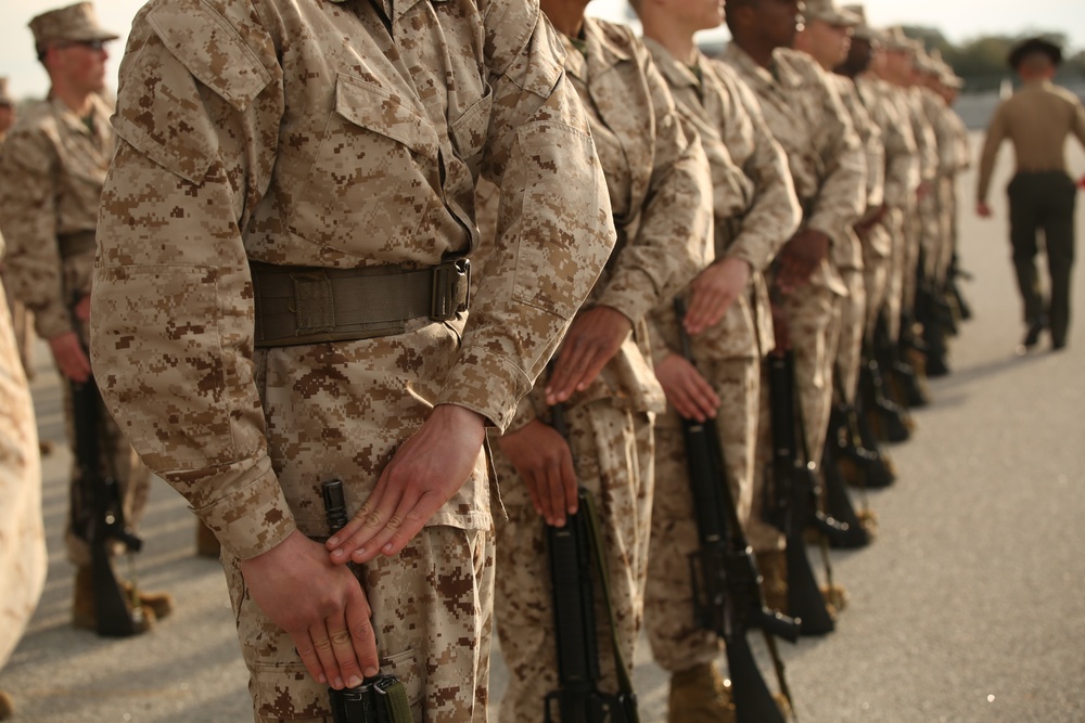 DVIDS - Images - Photo Gallery: Marine recruits display discipline ...