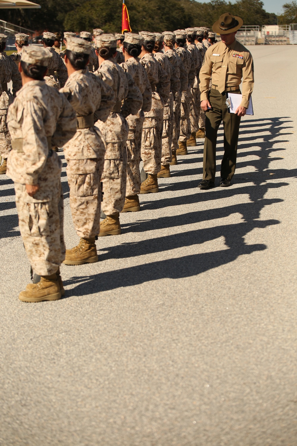 DVIDS - Images - Photo Gallery: Marine recruits pass test of discipline ...