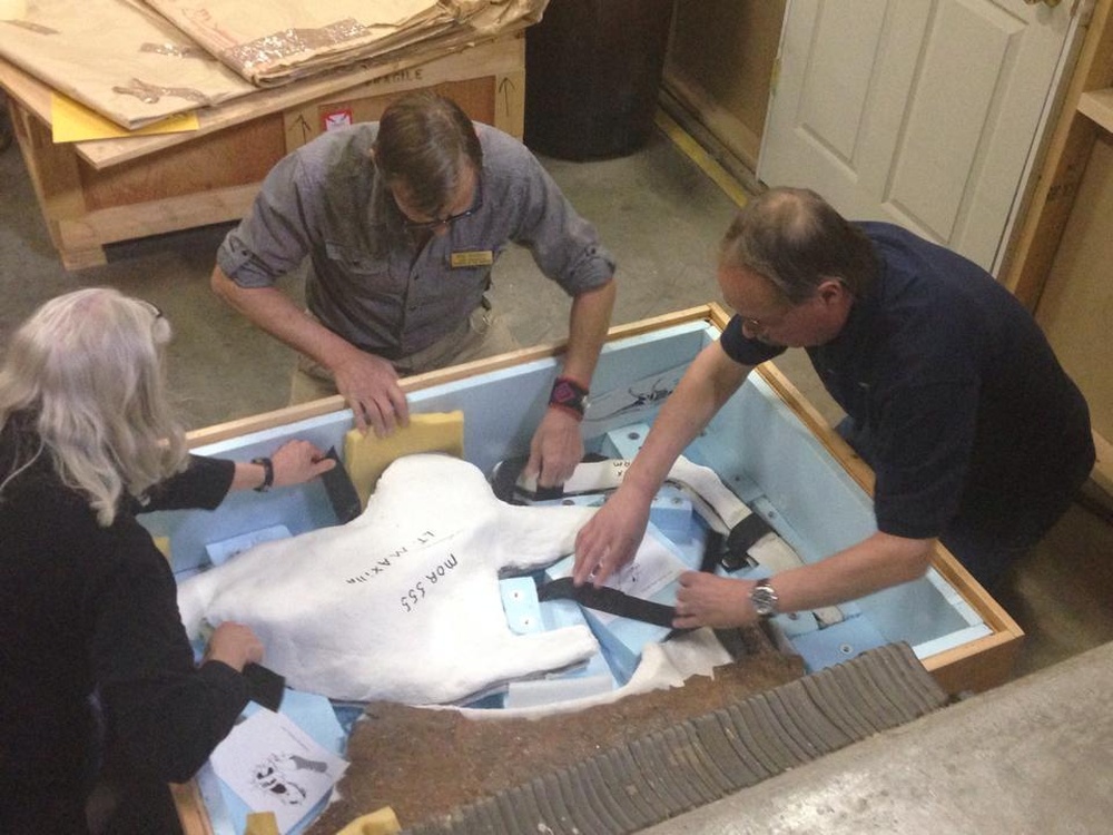 DVIDS - Images - Wankel T.rex inventory and condition reporting [Image ...